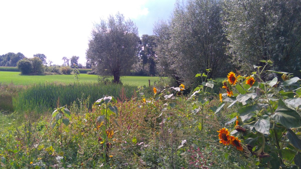 Aanleg landschapselementen | Kenniscentrum Reeën